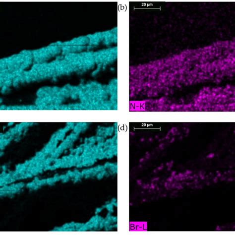 Energy Dispersive X Ray Edx Surface Mapping Of An Electroplated