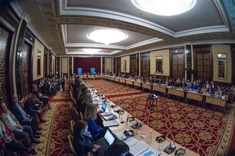 Наталія Алюшина НАДС та Офіс Ради Європи в Україні успішний приклад дієвого та ефективного