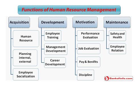 Functions Of Human Resource Department Natalie Springer
