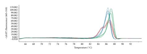 Results Of The High Resolution Melting Analysis Melting Peaks Of 6 Download Scientific Diagram