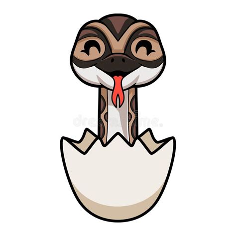 Python Molurus Stock Illustrations 42 Python Molurus Stock Illustrations Vectors And Clipart