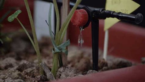 How To Make A Diy Drip Irrigation System Based On Arduino At Home