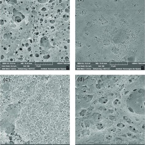 Iec And Hydroxide Conductivity Values For Pei Fumion ® Membranes Download Scientific Diagram