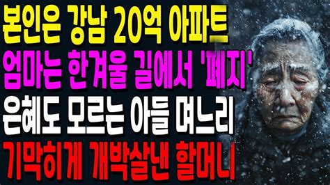 길에서 폐지 줍던 엄마 쪽팔리다며 문전박대한 쓰레기 아들 며느리 기막히게 복수한 할머니 사연 노년 지혜 편지 노후생활 오디오북 Youtube