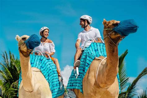 Riviera Maya Camel Caravan Expedition And Beach Club Access Getyourguide