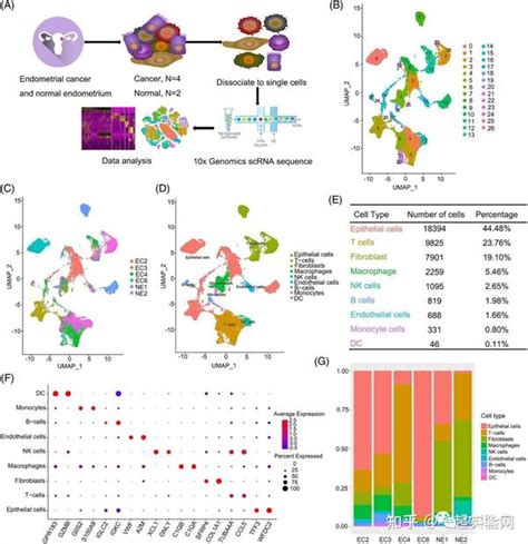 8 单细胞 Ec 知乎