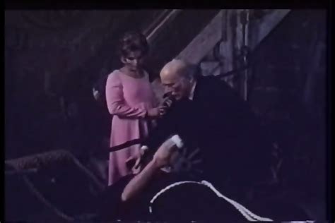 THE VAMPIRE HAPPENING