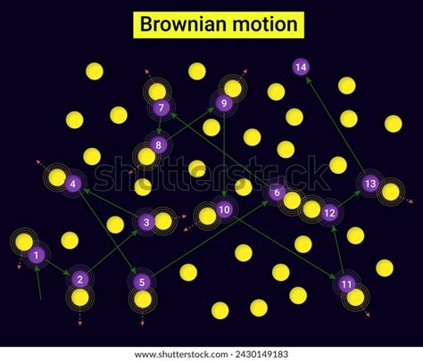 Structure Brownian Motion Stock Vector Royalty Free 2430149183 Shutterstock