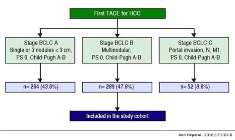 Prognostic Ability Of Bclc B Subclassification In Patients With Hepatocellular Carcinoma