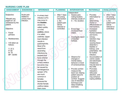 Risk For Urinary Tract Infection Nursing Diagnosis At Arthur Lawrence Blog