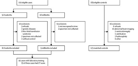 Association Between Microcephaly Zika Virus Infection And Other Risk