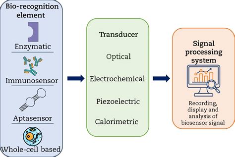 Harnessing The Power Of Biosensors For Environmental Monitoring Of Pesticides In Water Applied