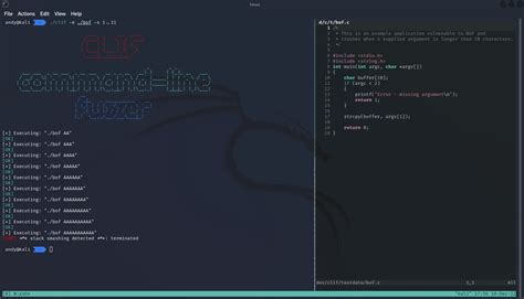 Clif Is A Command Line Application Fuzzer In Rust Rrust