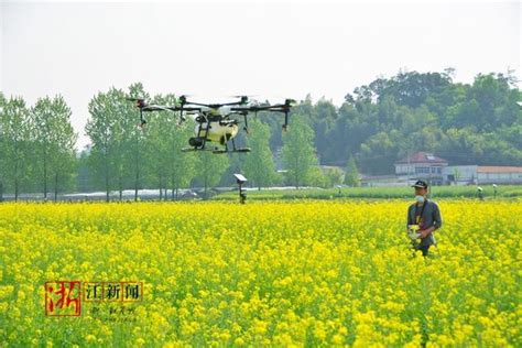 浙江安吉無人機撒農藥 1小時搞定30畝 每日頭條