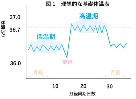 自然妊娠への第一歩基礎体温から妊娠しやすい日を予測する