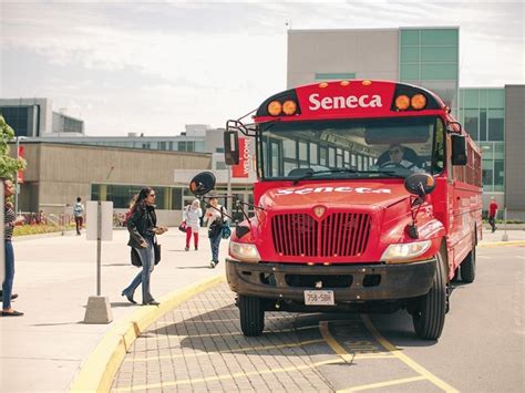 Accessibility Standards Accessibility At Seneca Seneca Polytechnic