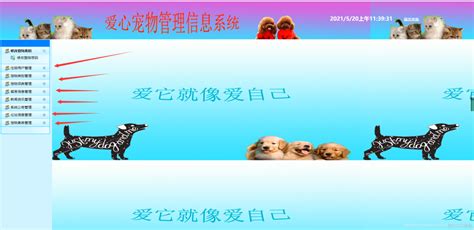 基于javaweb宠物领养平台管理系统设计和实现51cto博客基于java的宠物领养系统