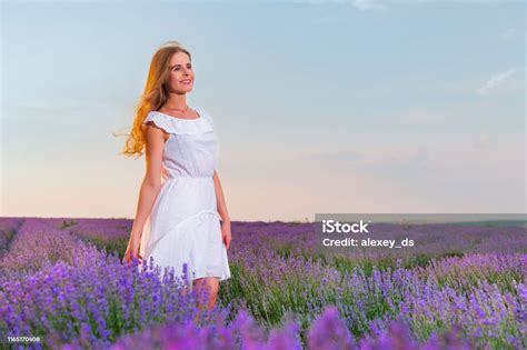 아름다운 미소 젊은 여자 와 긴 금발 머리 에 서 있는 꽃 라벤더 필드에 흰색 드레스 에 일몰 개화기에 대한 스톡 사진 및 기타 이미지 Istock
