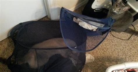 We Can Help Sort Laundry Imgur