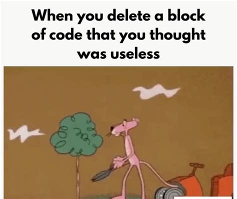 developer coding memes software developer