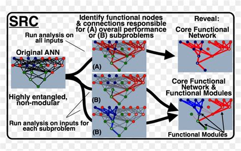 Identifying Core Functional Networks And Functional Regression Analysis And Neural Networks
