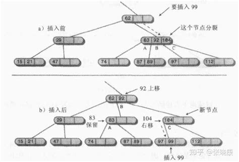 数据结构和算法（十二）：2 3 4树 知乎