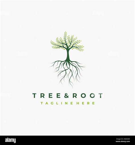 Vibrant Tree Logo Design Tree And Root Vector Tree Of Life Logo Design Inspiration Stock