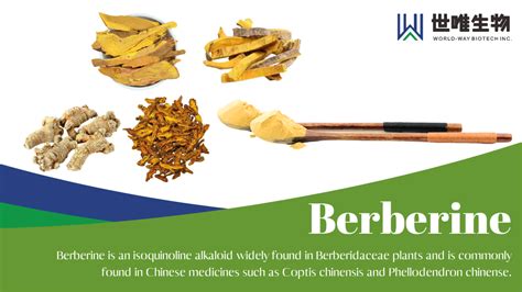 Berberine A Potent Natural Compound For Metabolic Health