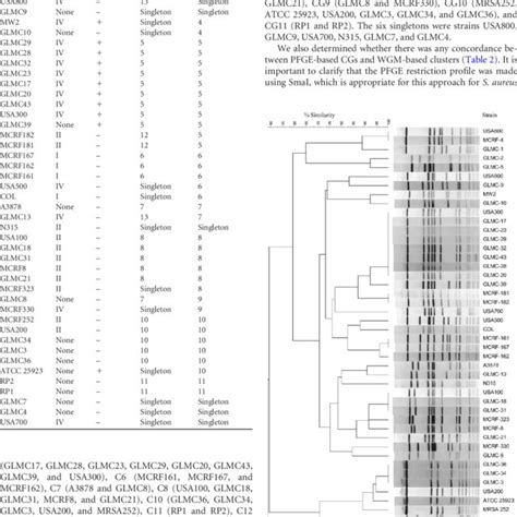 Sccmec Types Pvl Pcr Positivity Wgm Clusters And Pfge Based Clonal