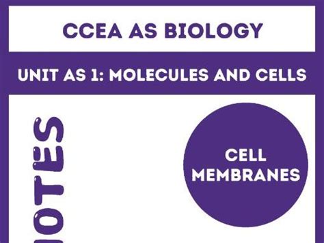 Ccea As 1 Biology Cell Membrane Revision Notes Teaching Resources