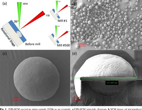Figure 1 From Characterization Of Controlled Release Microspheres Using Fib Sem And Image Based