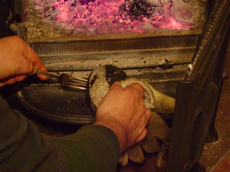 Firebox Cooking Our Tiny Homestead