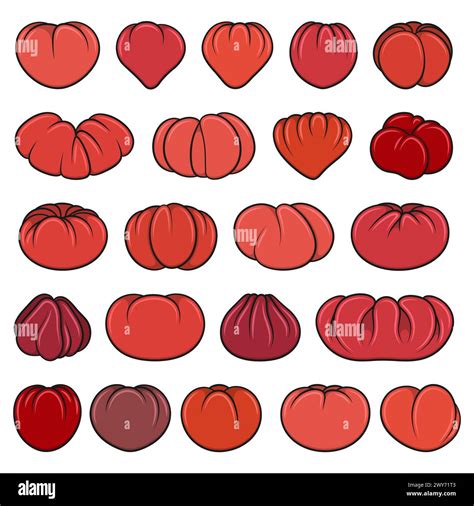 Set Of Color Illustrations With Red Tomatoes Isolated Vector Objects On White Background Stock