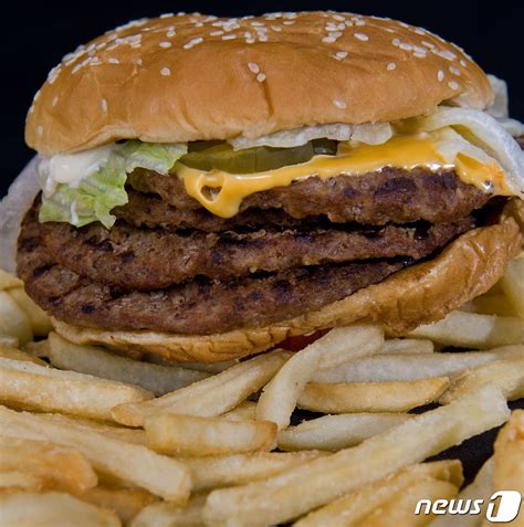 햄버거 등 정크푸드 많이 먹는 사람 빨리 늙는다