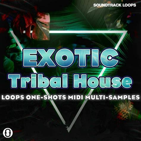 Stream Soundtrack Loops Exotic Tribal House Loops MIDI One Shots Multi Samples By