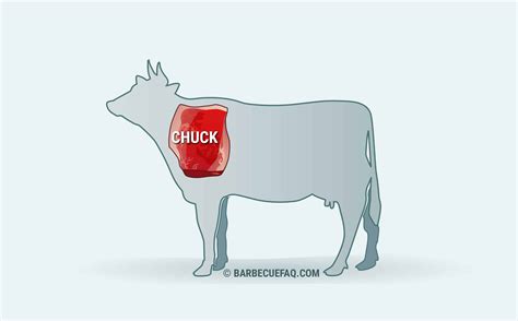 Primal Cuts Of Beef How The Cow Is Divided Up