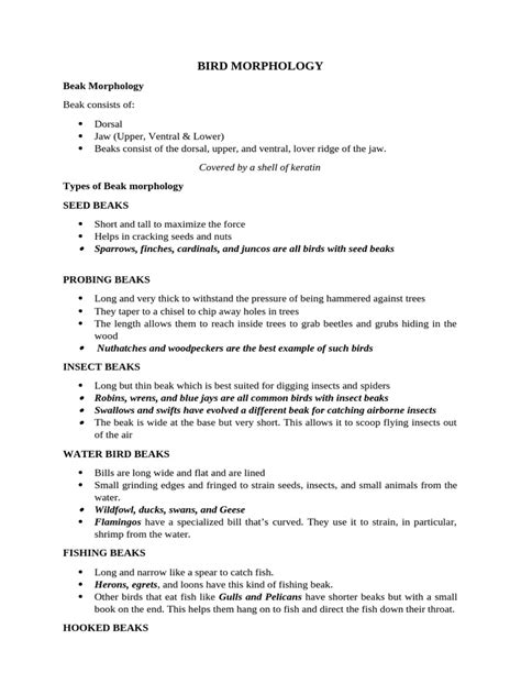 Share Bird Morphology Pdf Beak Birds