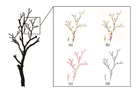 Comparison Shortest Path Method And The Proposed Method A The Download Scientific Diagram