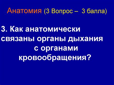 Анатомия Эрудит Online Presentation