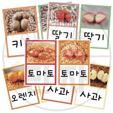 단어카드 과일의 겉과 속 만자디자인