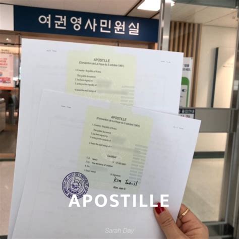 운전면허증 아포스티유 네이버 블로그