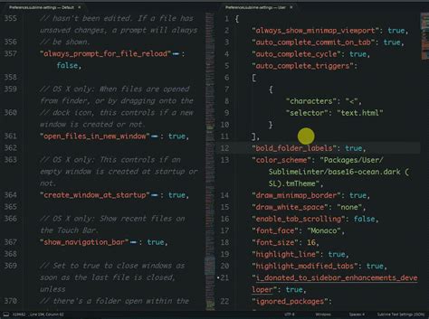 File Closes Unexepectedly Technical Support Sublime Forum