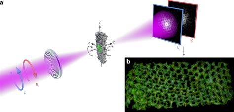 Experimental Schematic Of Soft X Ray Vector Ptycho Tomography A Left Download Scientific