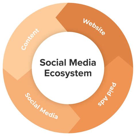 Social Media Marketing Ecosystem Key To Seo Success