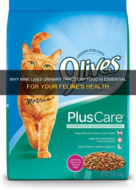 Why Nine Lives Urinary Tract Cat Food Is Essential For Your Felines