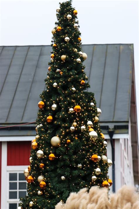 북유럽풍의 축제 크리스마스 트리 · 무료 스톡 사진