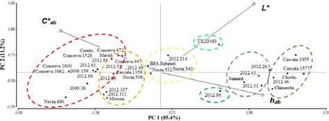 Principal Component Pc Analysis With Hue Angle H Ab Chroma C Download Scientific