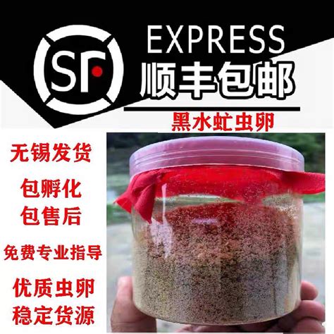 黑水虻批发 江苏无锡江阴市黑水虻 350 00元 斤黑水虻虫卵 一亩田