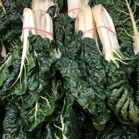 Silverbeet Forestway Fresh Online Store