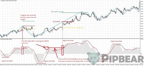 Forex Oscillators Pipbear